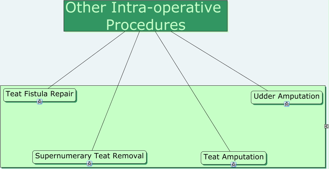 Other Intra-op Procedures